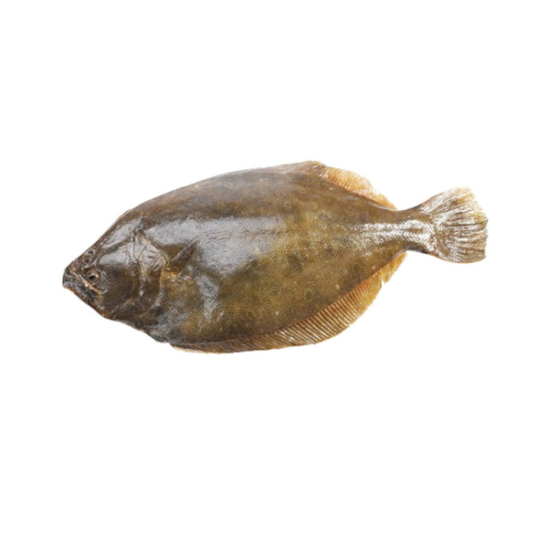 Fresh Fluke – Al Premium Food Mart - Mississauga