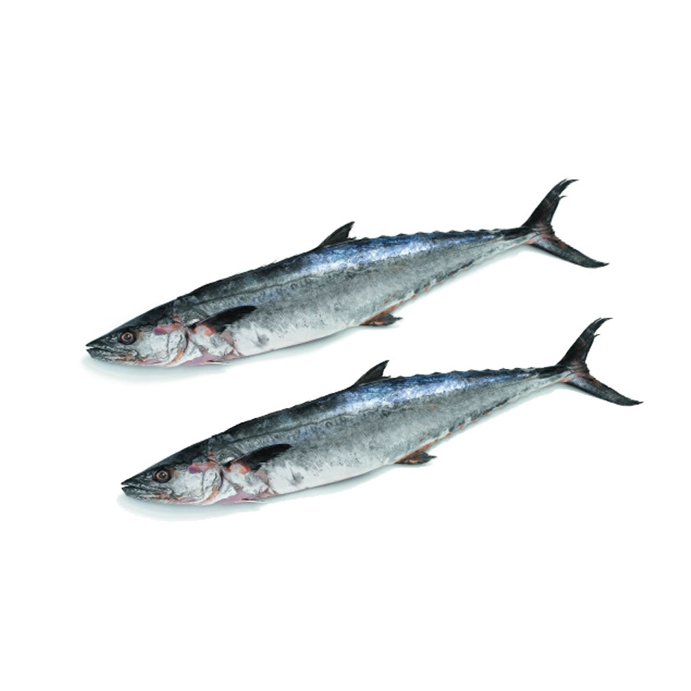 Whole King Fish – Al Premium Food Mart - Mississauga