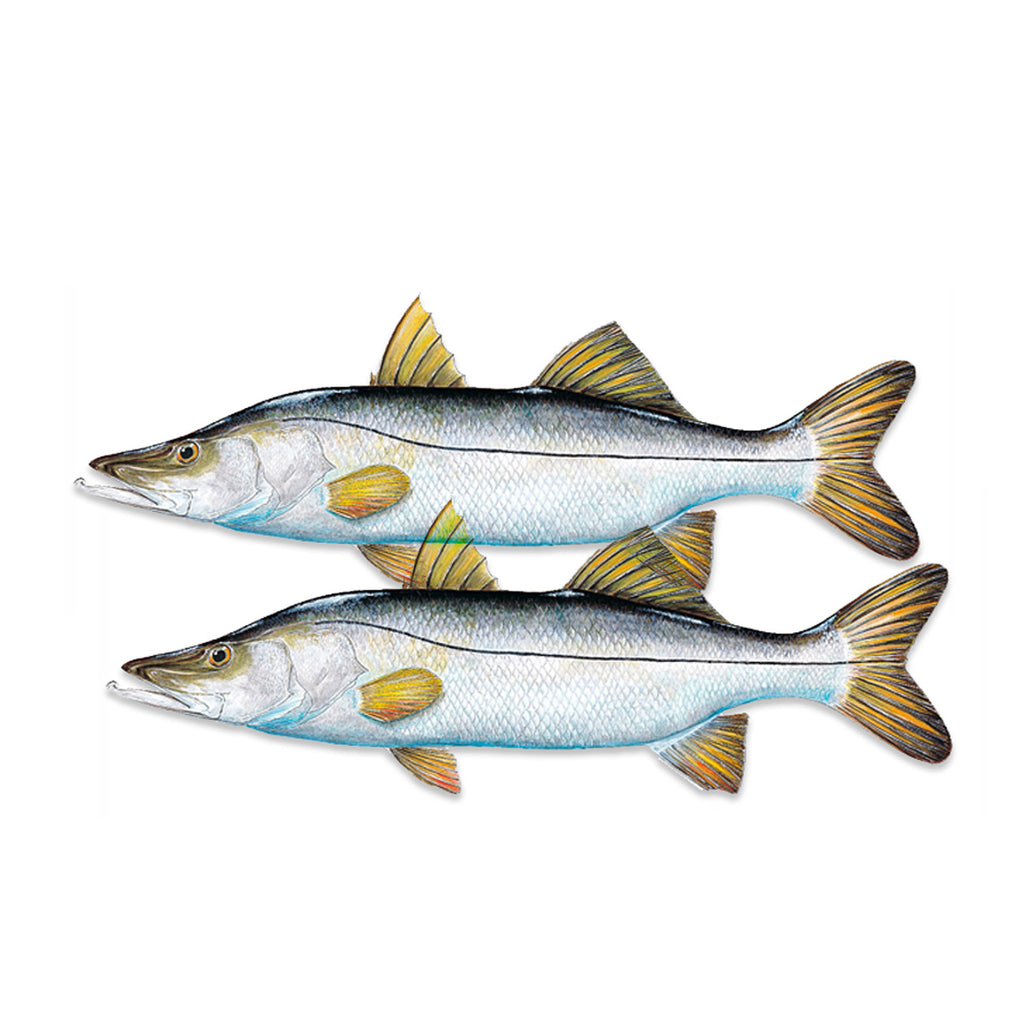 Snook Fish – Al Premium Food Mart - Mississauga